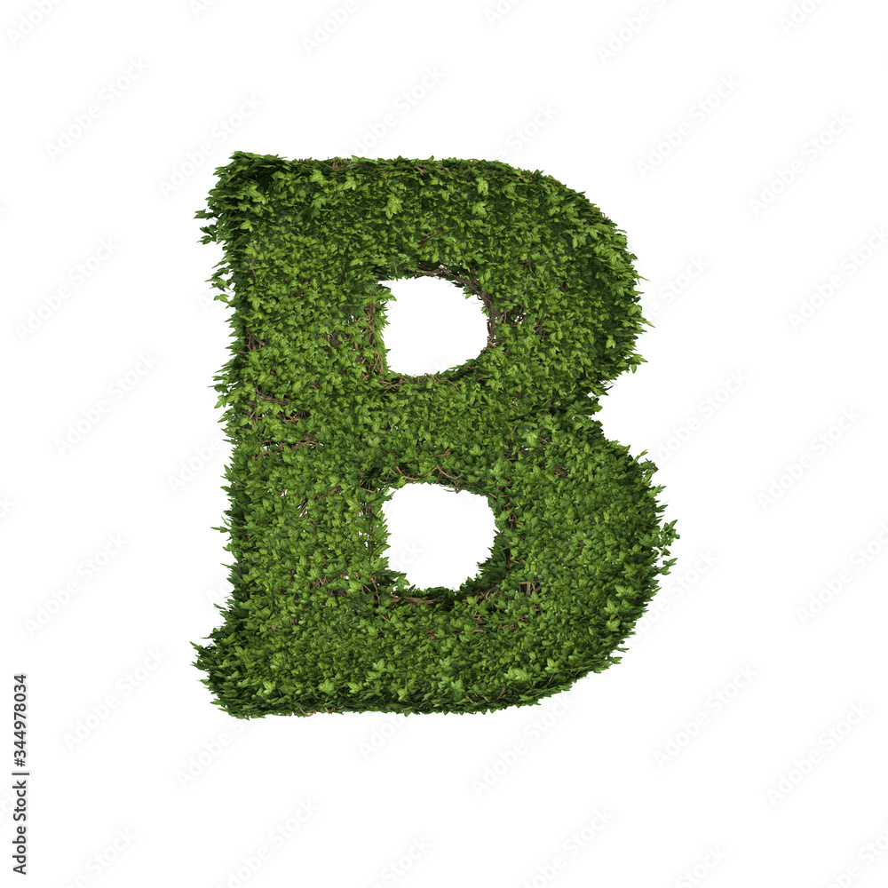 Ivy plant with leaves, green creeper bush and vines forming letter B ...