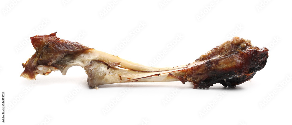 Roasted young lamb leg bone, food waste isolated on white background ...