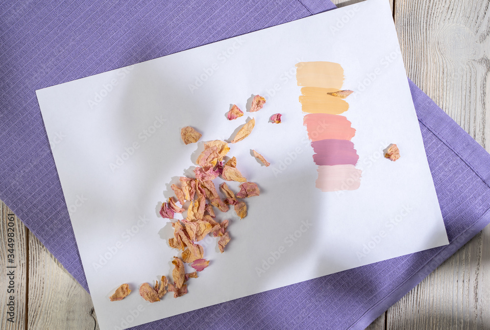 A color palette with samples of flowers taken from a dried field plant ...