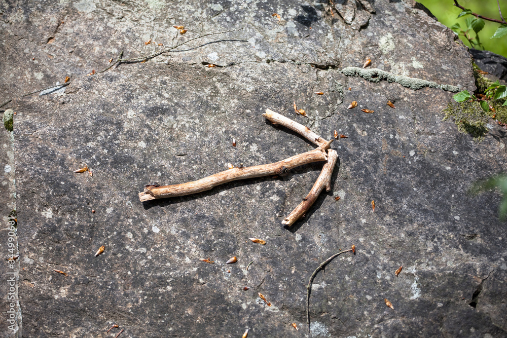 wooden stick arrow at forest mossy rock. Nature wayfinding concept ...