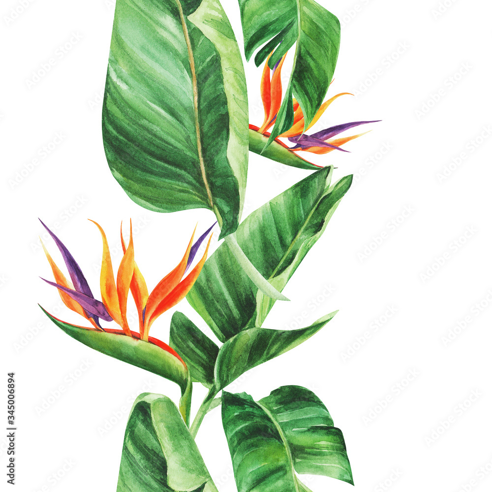 Seamless pattern with tropical leaves, strelitzia on an isolated white ...