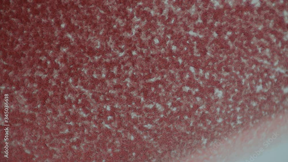 Fresh blood seen on a microscope view. Blood smear under microscope ...