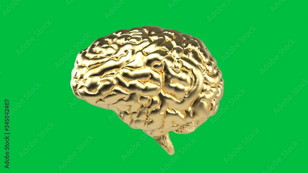 3d rendering golden human brain on green screen 4k animation vídeo do ...