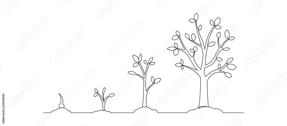 Continuous line drawing of step of tree growth. Vector illustration ...