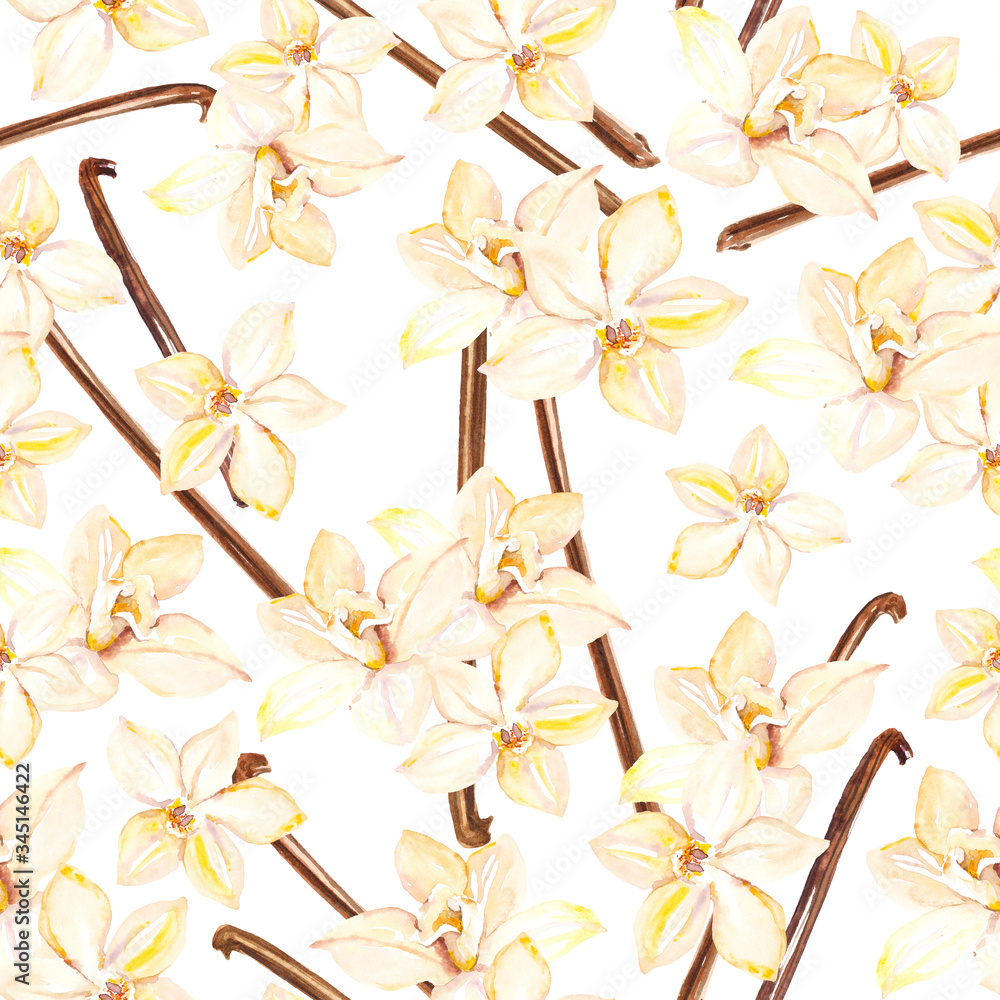 Watercolor hand painted natural vanilla flowers illustration seamless ...