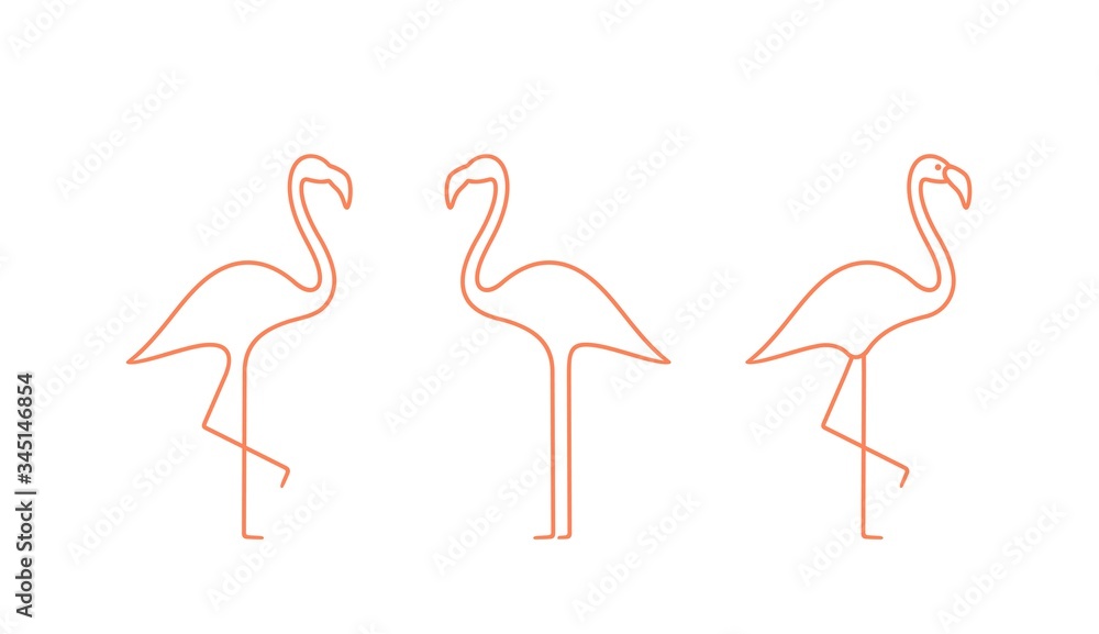 Flamingo outline. Isolated flamingo on white background Stock Vector ...