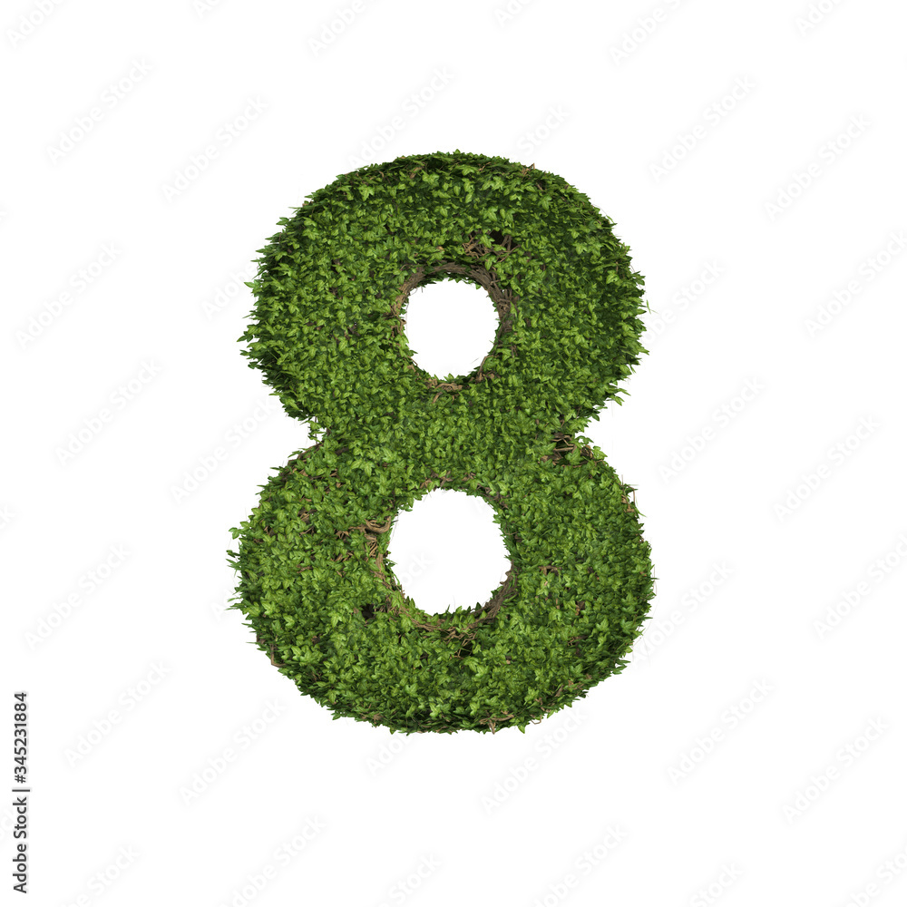 Ivy plant with leaves, green creeper bush and vines forming number ...