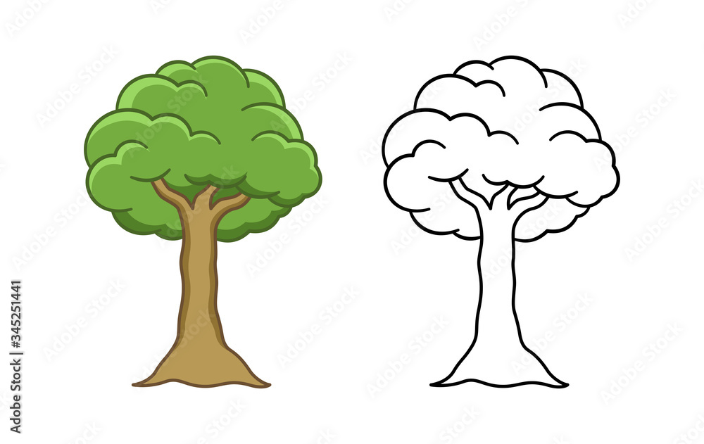 Cartoon tree colored and outline vector illustration. Simple coloring ...