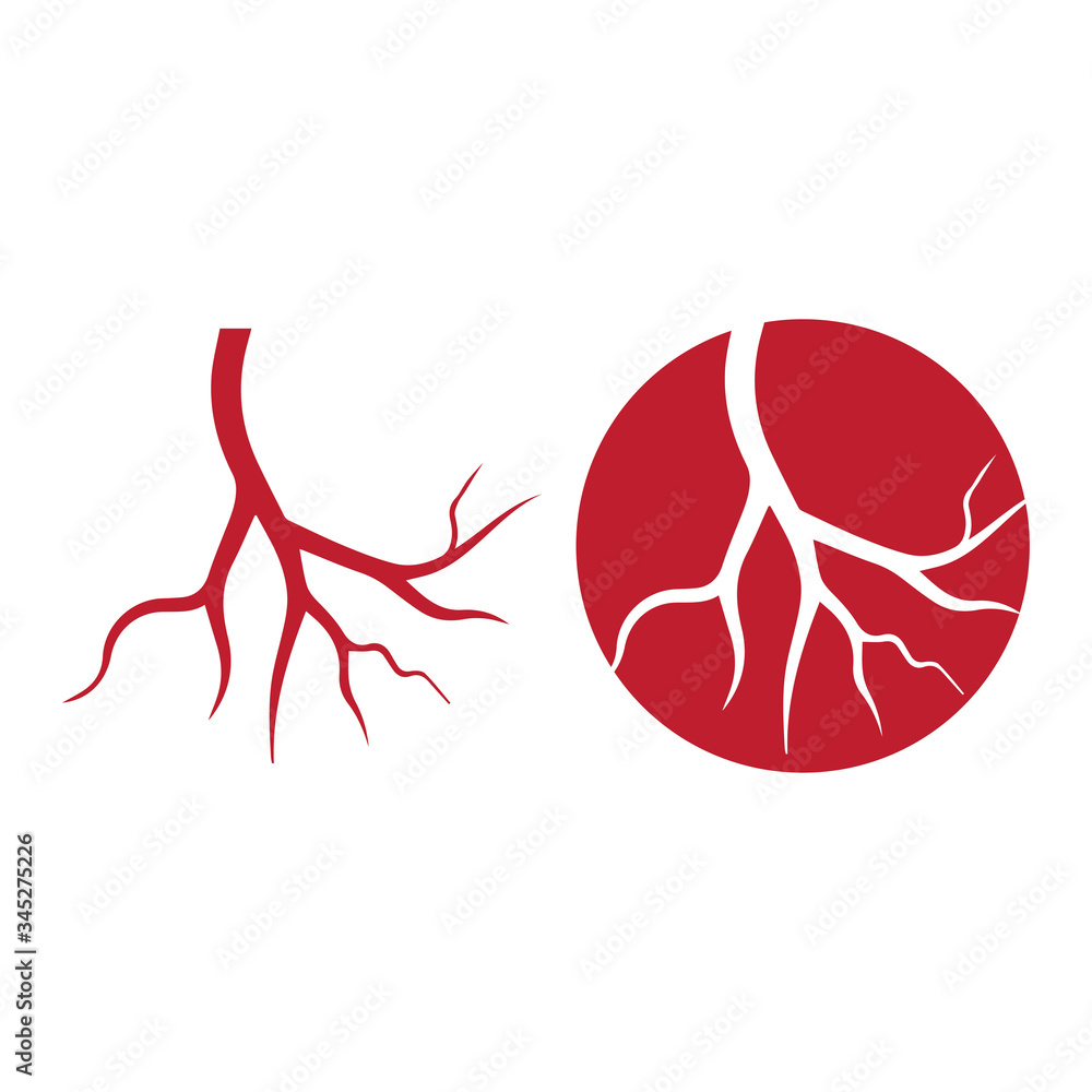 human veins, red blood vessels design and arteries Vector illustration ...