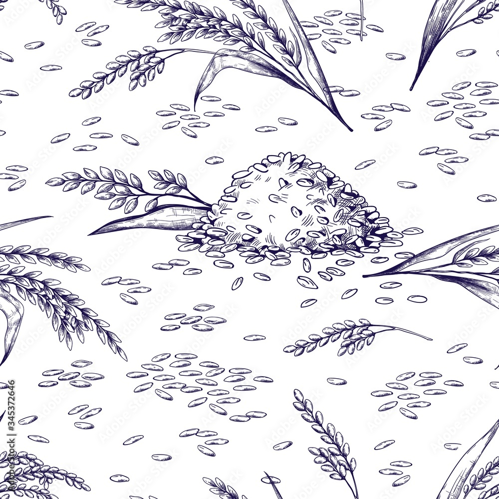 Rice seamless pattern. Hand drawn plant and grains texture, sketch of ...