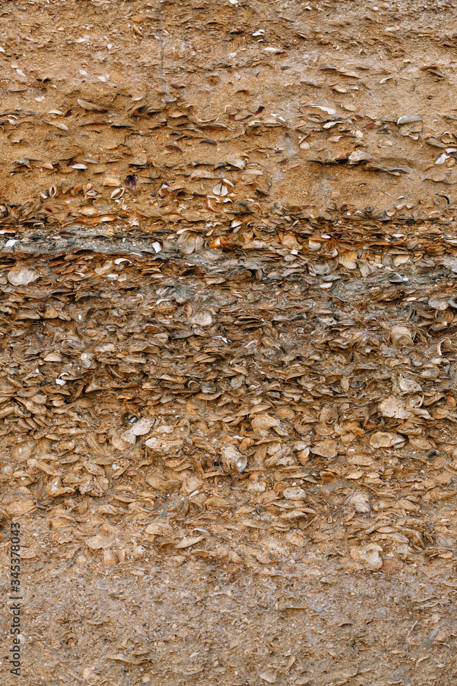 Details of the geological formation of layers on the seashore. The ...