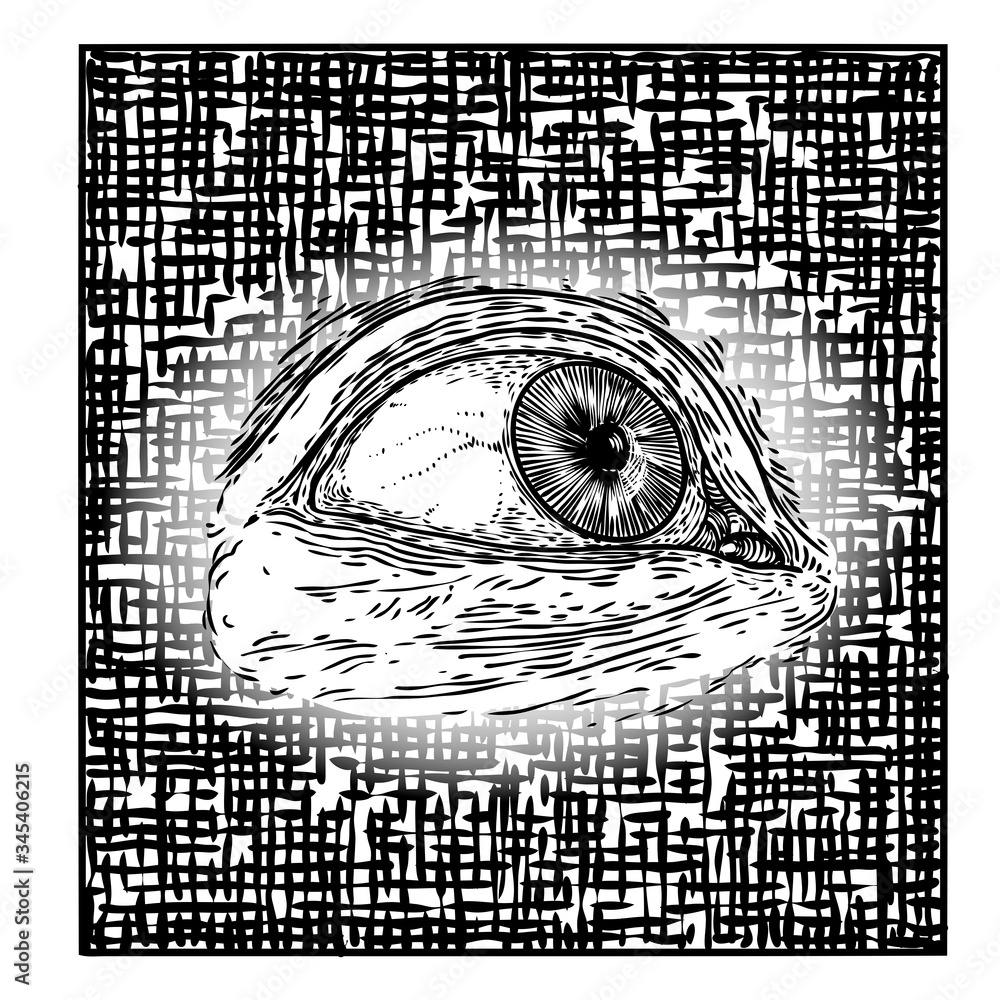 Various drawing of the all seeing eye in different direction and ...