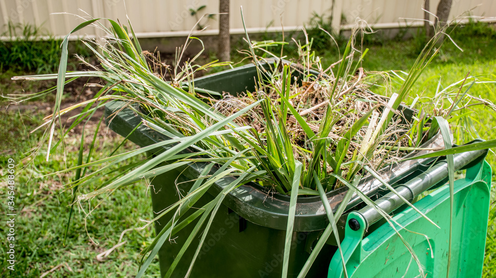 Green bin container filled with garden waste. Recycling garbage for a ...