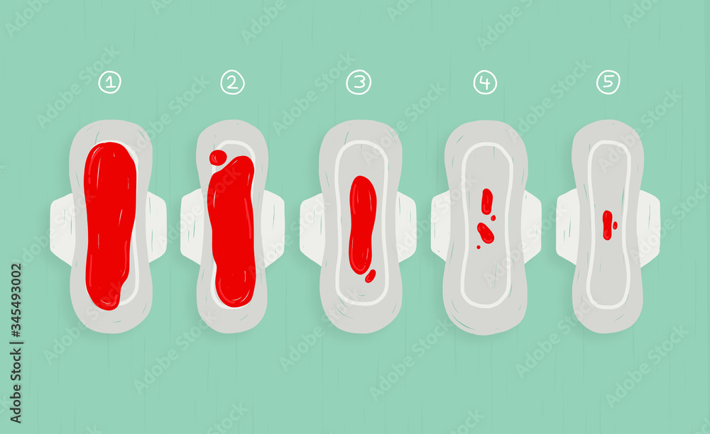 Menstrual cycle of sanitary pads Stock Illustration | Adobe Stock