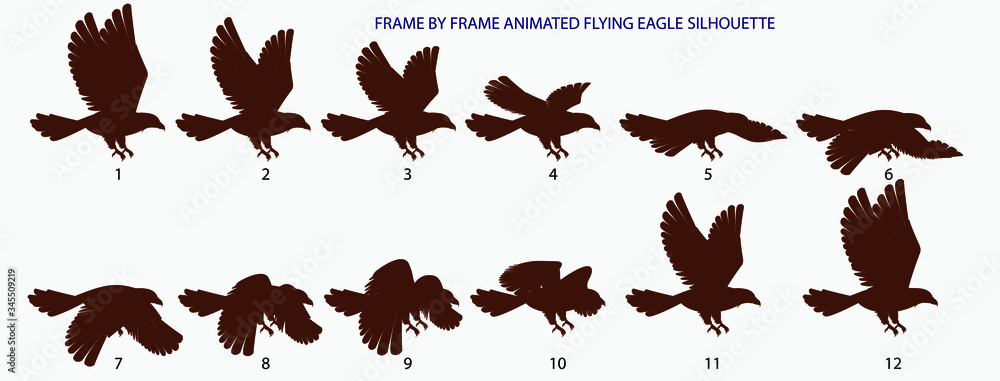Eagle Fly Cycle Silhouette, Frame By Frame Animated Flying Bald Eagle ...