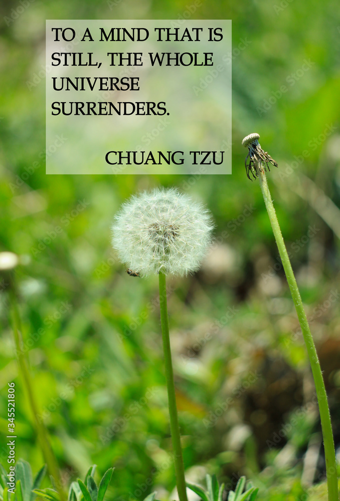 Zen Images With Quotes