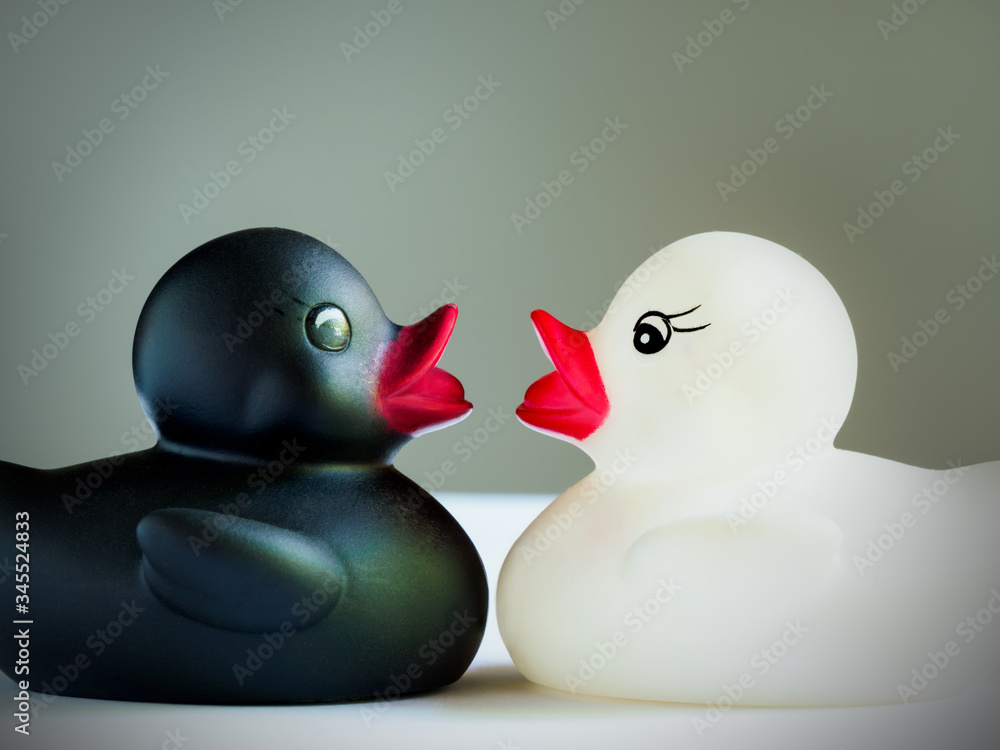 Two cute toy rubber ducks, one white and the other black. They look ...