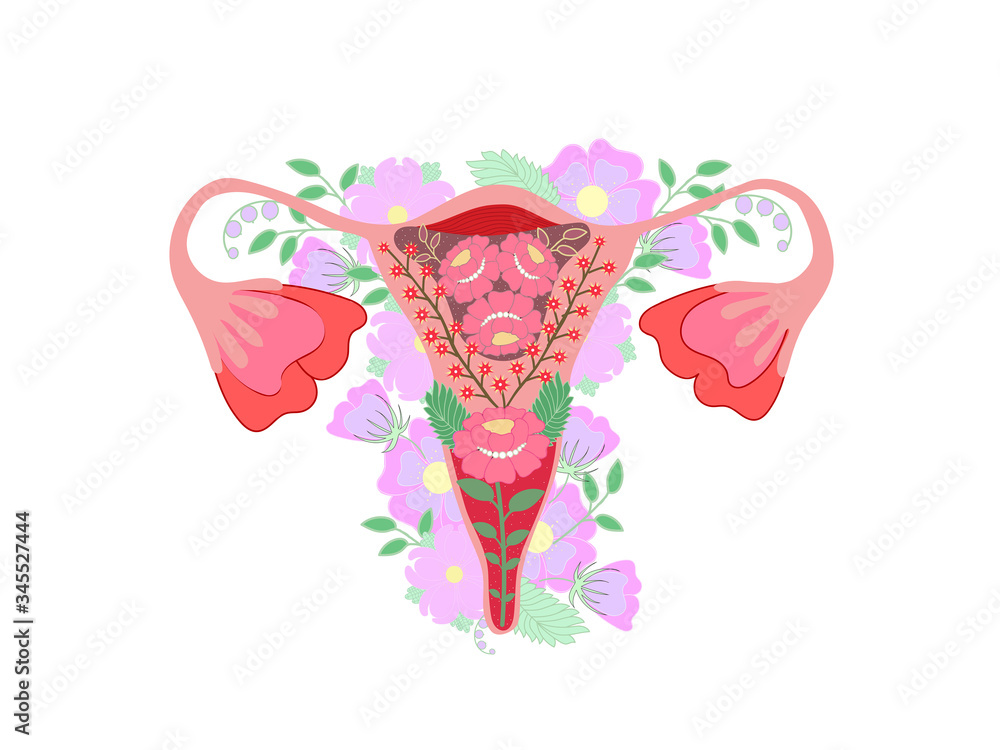 Organ of the uterus with flowers,female nature. Feminism concept ...