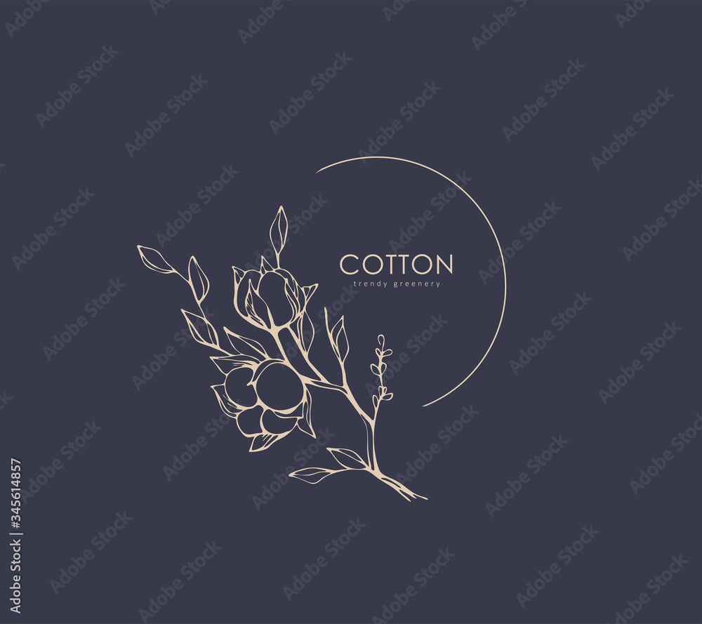 Cotton plant logo and branch. Hand drawn wedding herb, plant and ...
