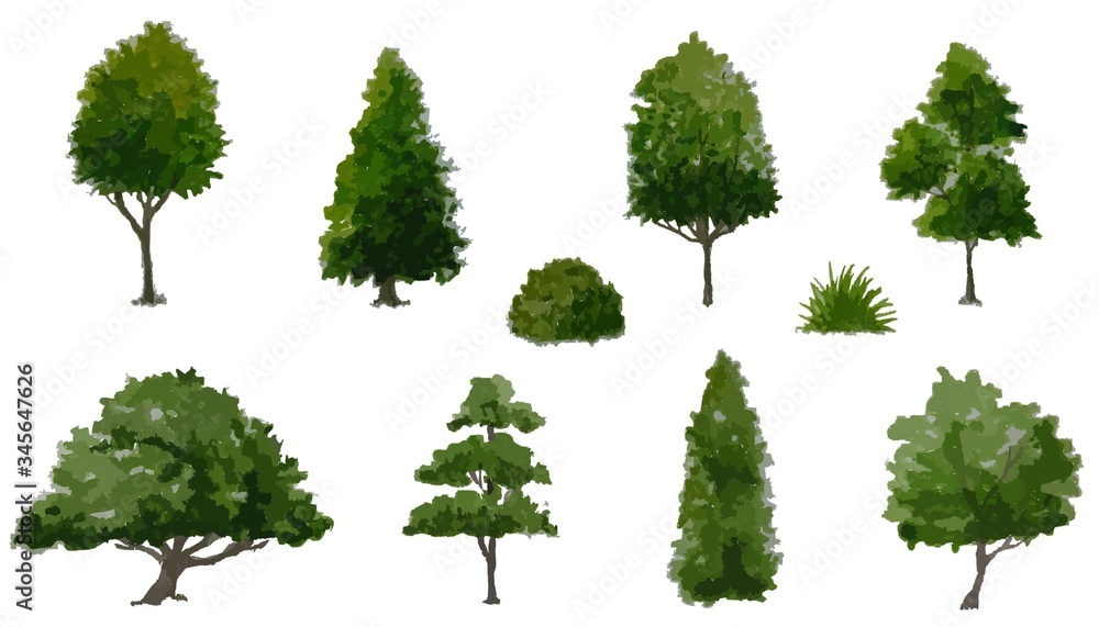 collection of watercolor trees side view isolated for landscape plan ...