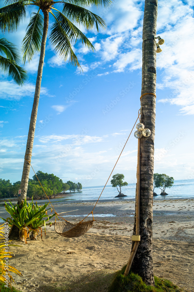 beautiful view of the landscape in the philippines with palm trees ...