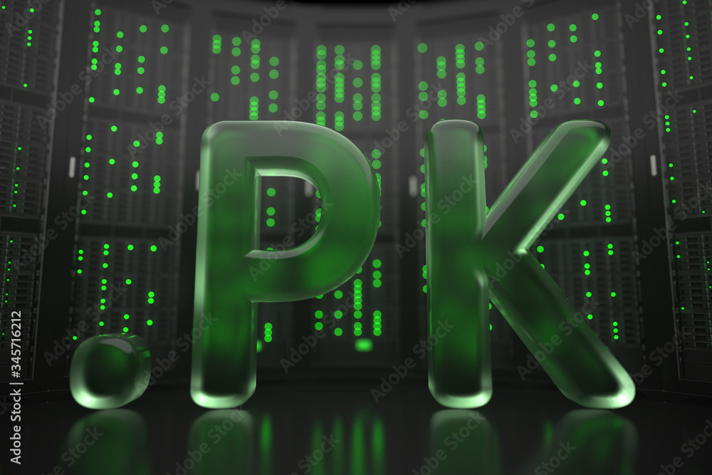 Pakistani domain .pk on server room background. Internet in Pakistan ...