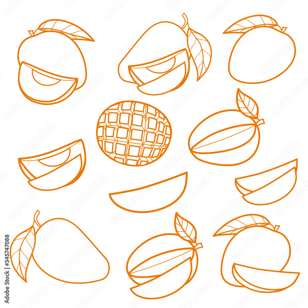 Set of linear drawing mango isolated on white background. Sketch for ...