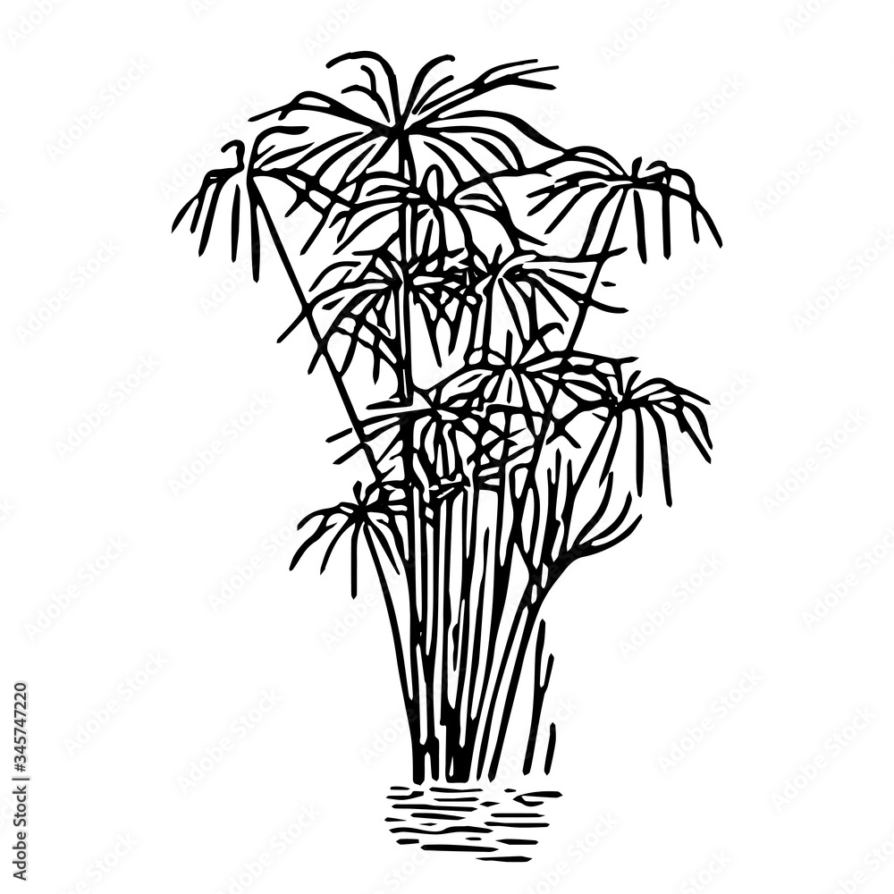 Black outline hand drawing vector illustration of a decorative plant ...
