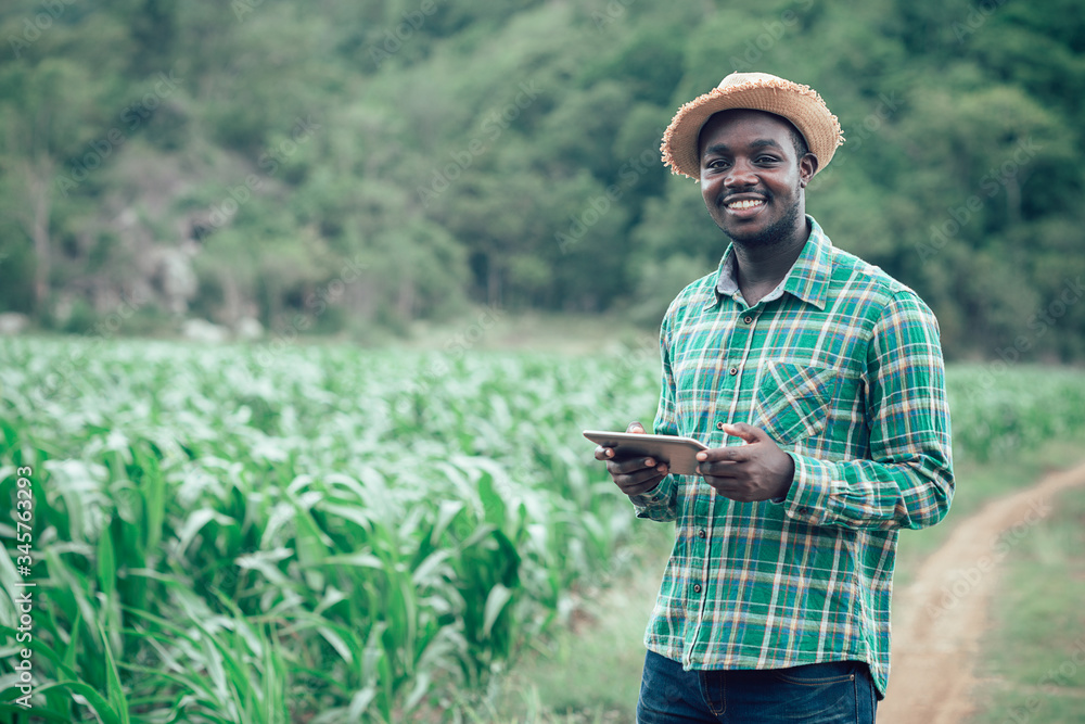 African farmer man holding tablet at organic farm with smile and happy ...