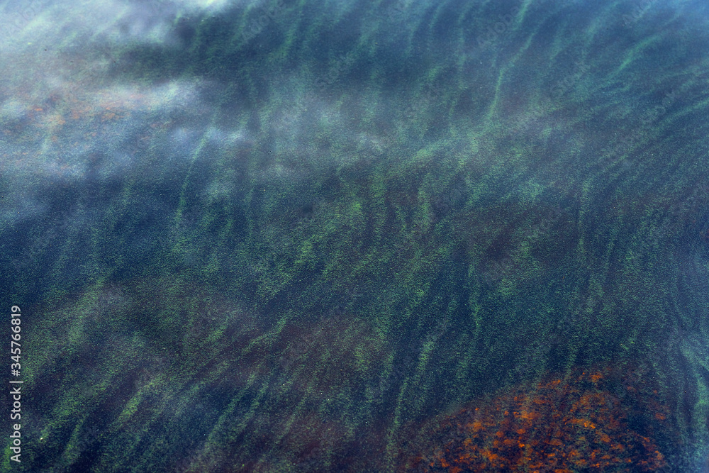 The rhythmic pattern of algae under water with solar reflexes Stock ...