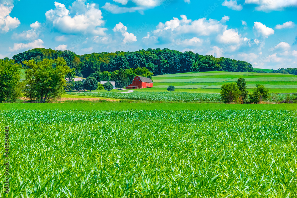 Red barn is surrounded by green corn fields in Ohio countryside. Stock ...