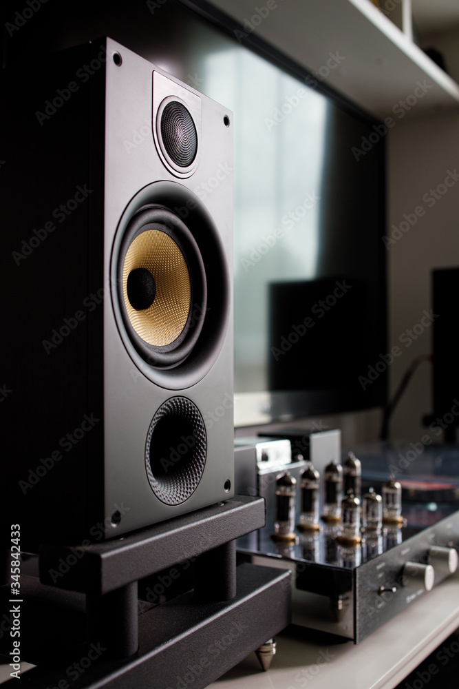 Plakát audio speaker with tube amplifier and turntable blur background – Obraz na Zeď | Posters.cz