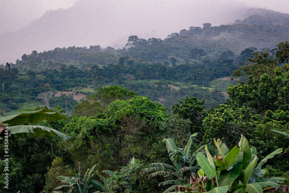 Rain and mist covers the tops of a tropical jungle mountain in Ghana ...