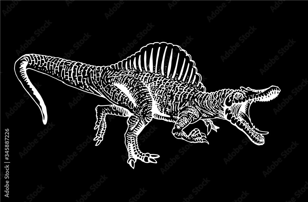 Graphical sketch of spinosaurus isolated on black background , vector ...