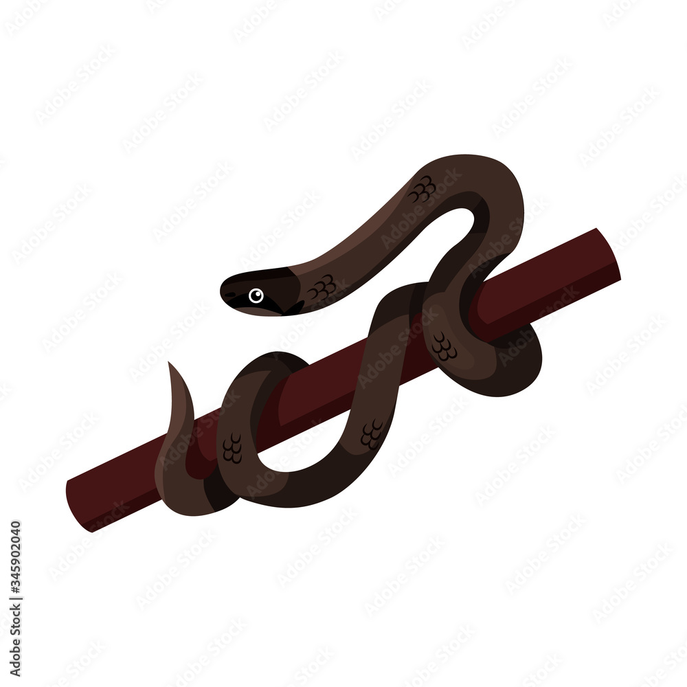 Vector illustration of serpent and venomous sign. Web element of ...