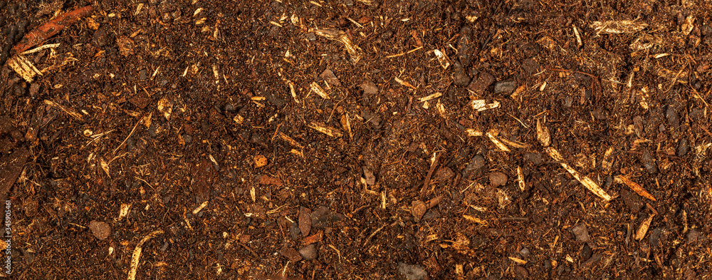 Top view potting soil texture - Background in natural colors of a ...