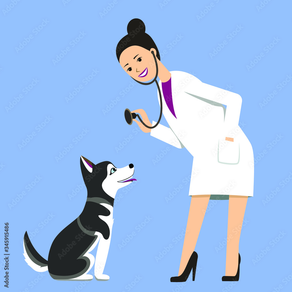 Husky dog looking up at the female Veterinarian doctor with stethoscope ...