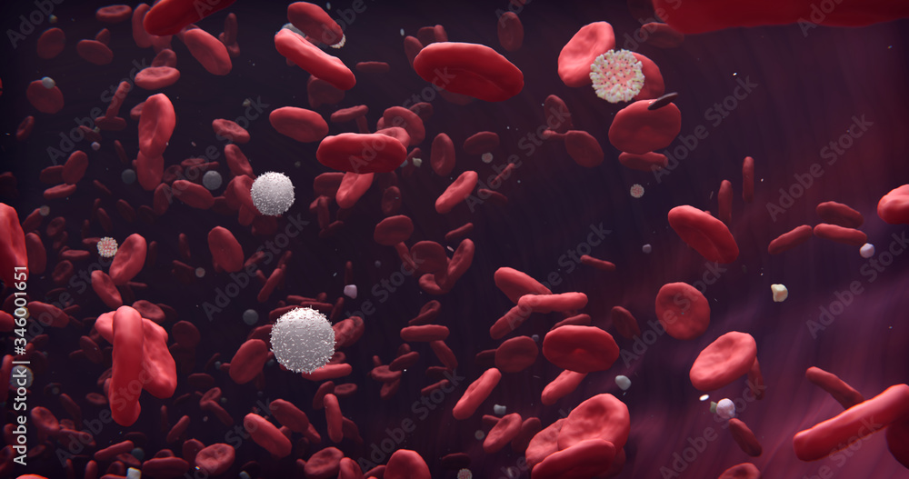Red blood cells and the virus in the artery. Stock Illustration | Adobe ...