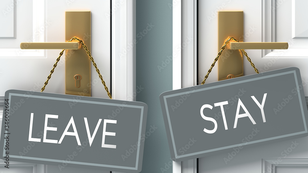 stay or leave as a choice in life - pictured as words leave, stay on ...