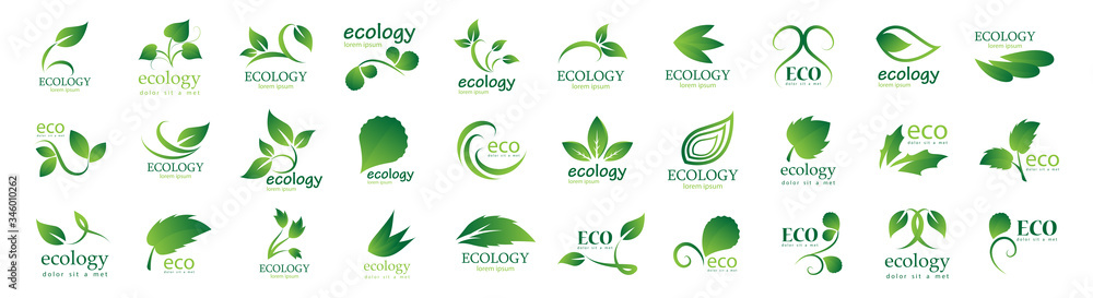 Collection Of Eco And Organic Logo Set - Isolated On White Background ...