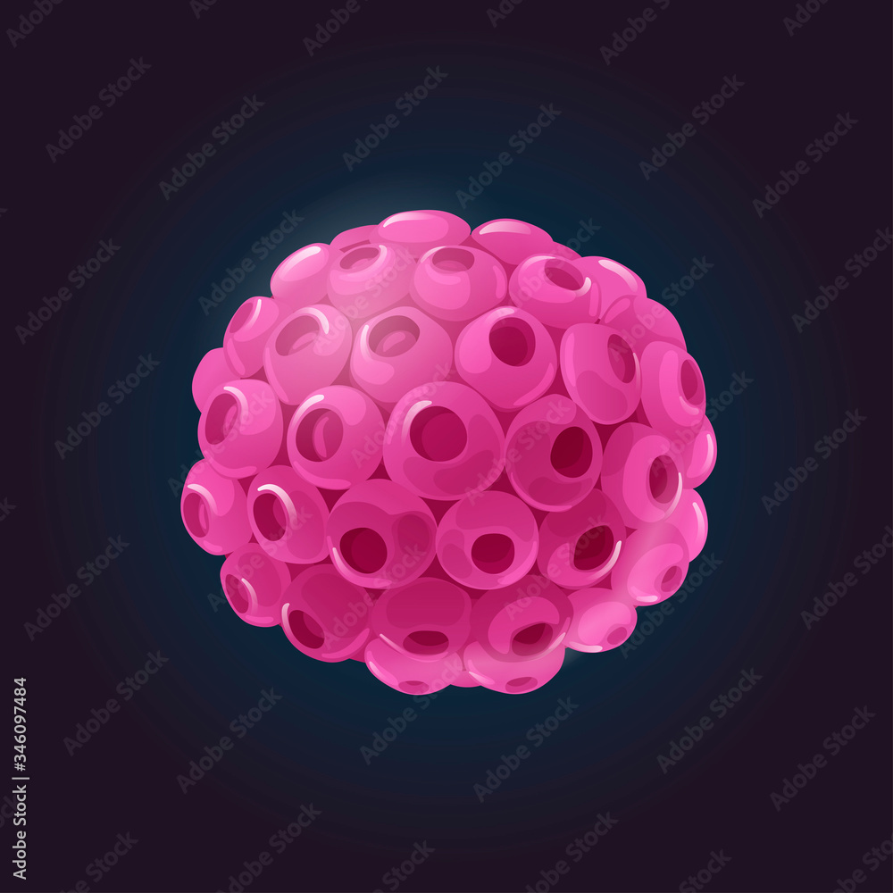 Cartoon vector model of external structure of HPV Stock Vector | Adobe ...