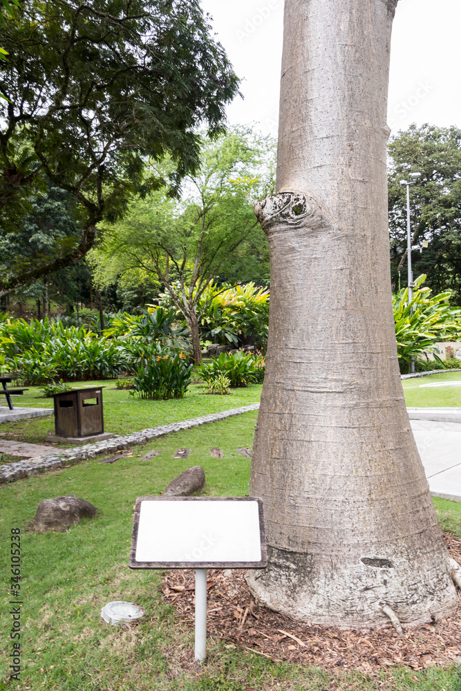 Adansonia digitata baobab tree with empty information sign. Stock Photo ...