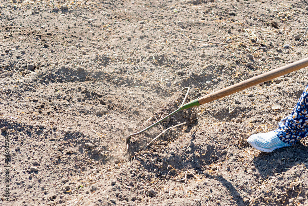 Preparing a ground with mesh to prevent weeds from growing and ...