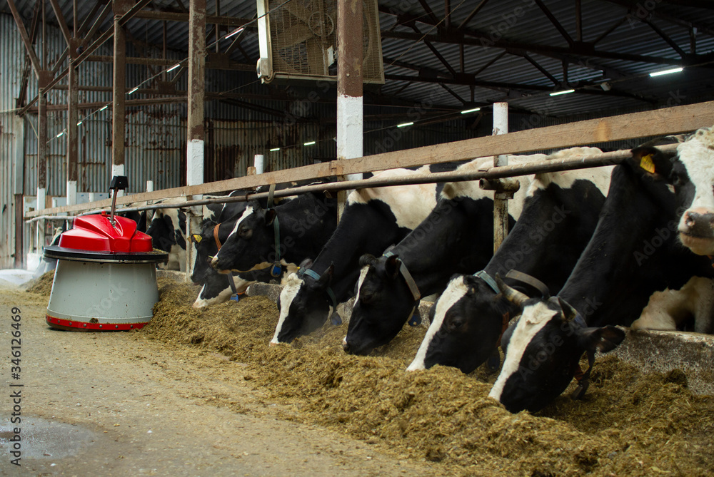 The robot farmers are programmed to work in the farm premises for ...