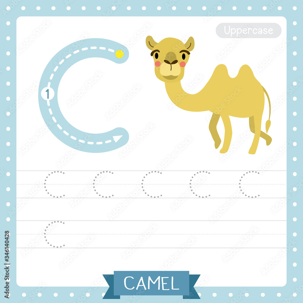 Letter C uppercase tracing practice worksheet. Bactrian Camel Stock ... Letter C uppercase tracing practice worksheet. Bactrian Camel Stock ...