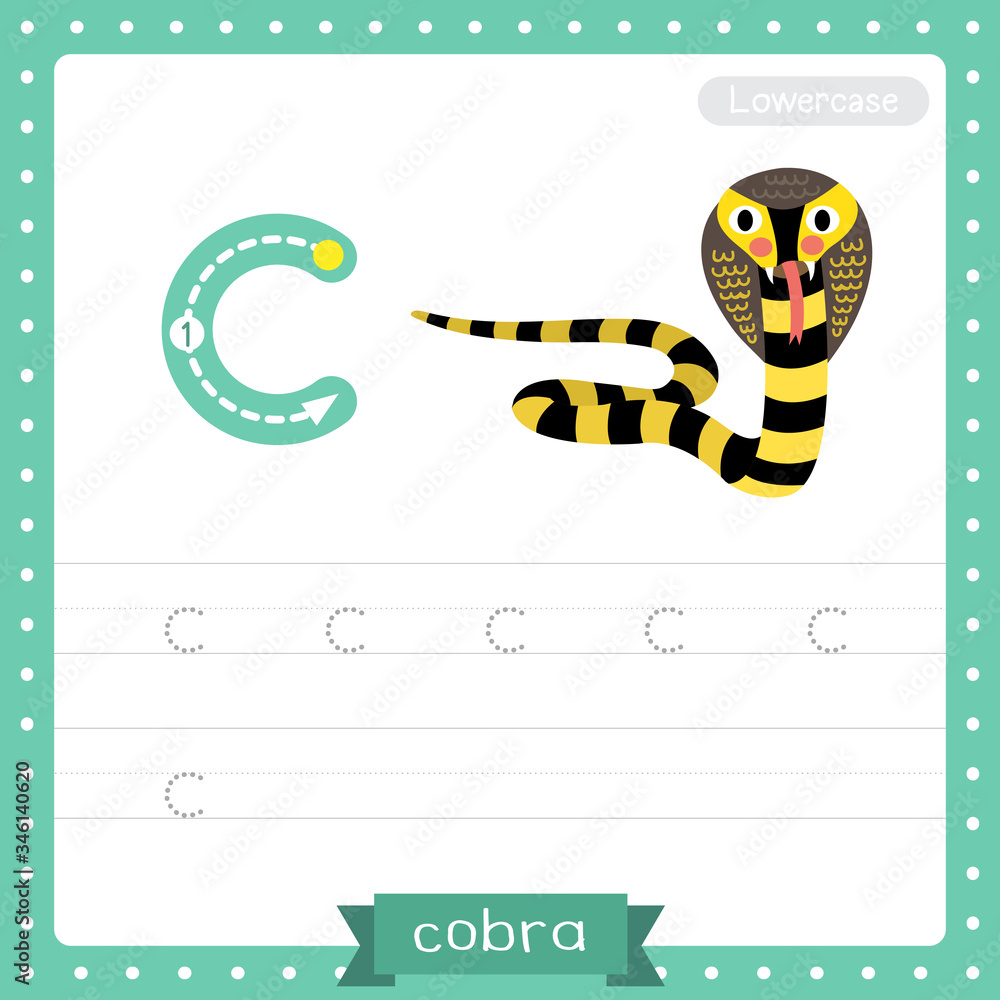 Letter C lowercase tracing practice worksheet. Black and Yellow Cobra ...