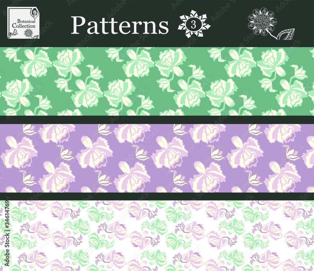 Botanic Patterns. Set with orchids and leaves. Stock Vector | Adobe Stock