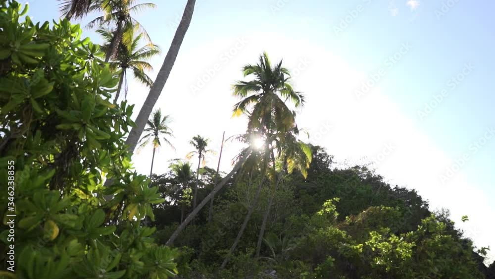 Tropical island with palm trees. camera glides to the right and the sun ...