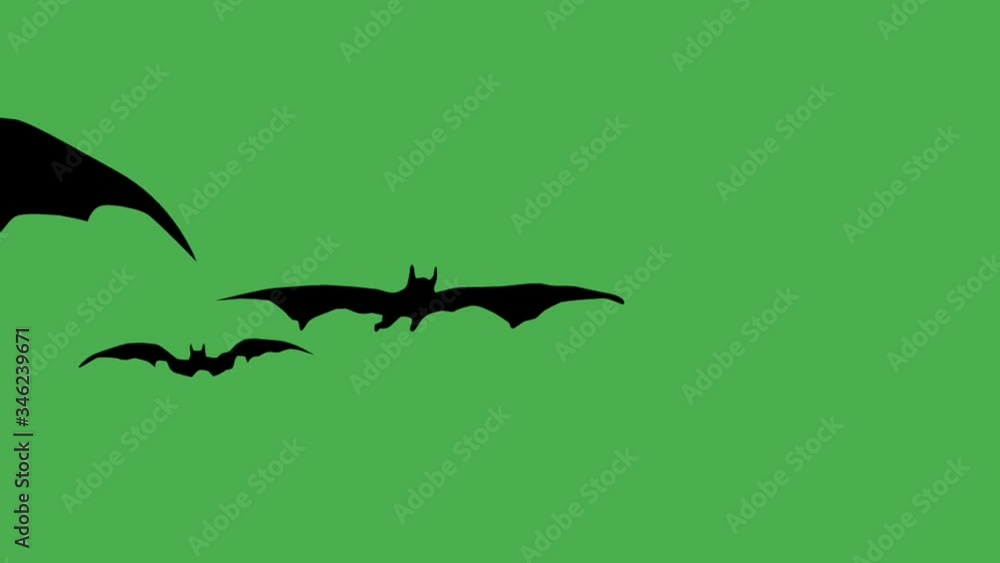 Flat style animation side view of bat flying against green background ...
