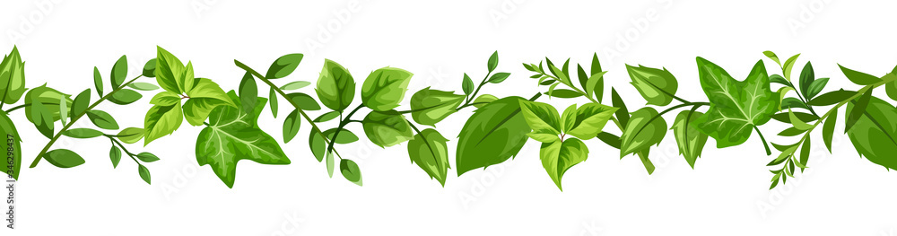 Vector horizontal seamless border with various green leaves. Stock ...